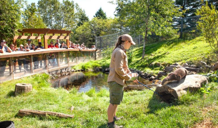 Bioparc - The animal park